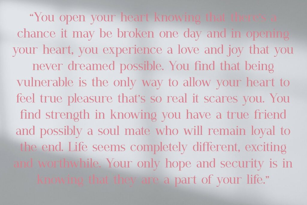 Malvix Modern Round Serif Font – MasterBundles