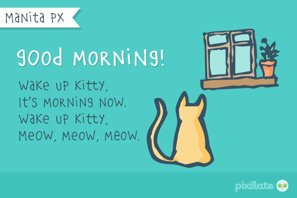 Manita Px – MasterBundles