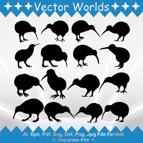 Kiwi SVG Vector Design - MasterBundles