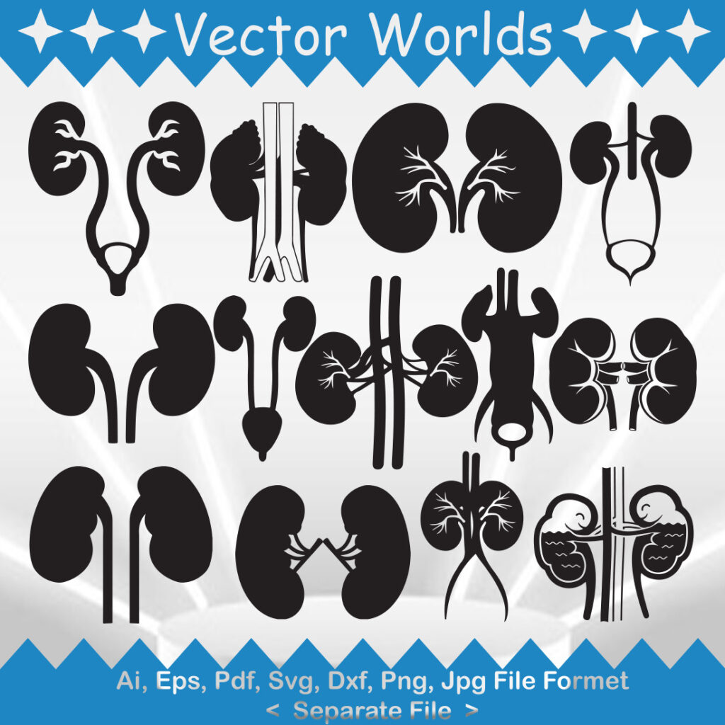 Kidney SVG Vector Design - MasterBundles
