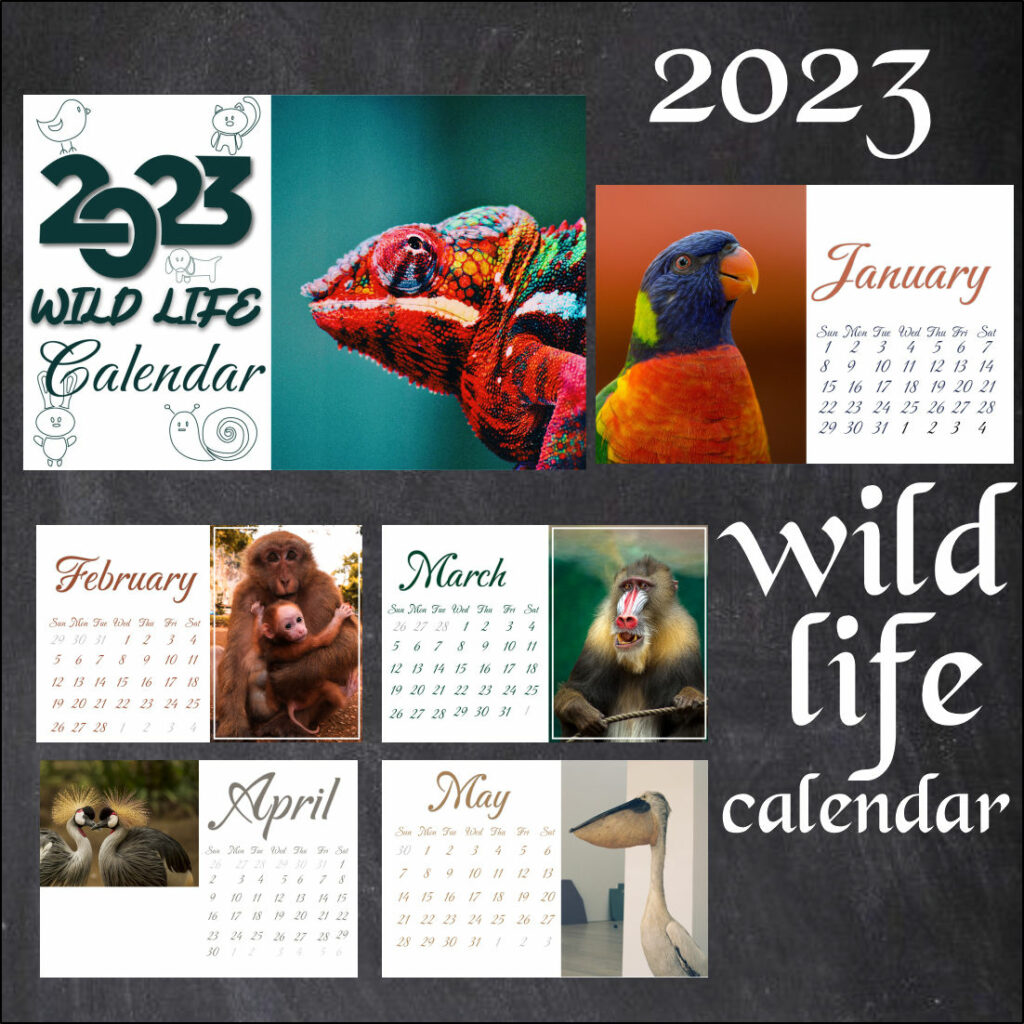 2023 Wild Life Calendar - MasterBundles