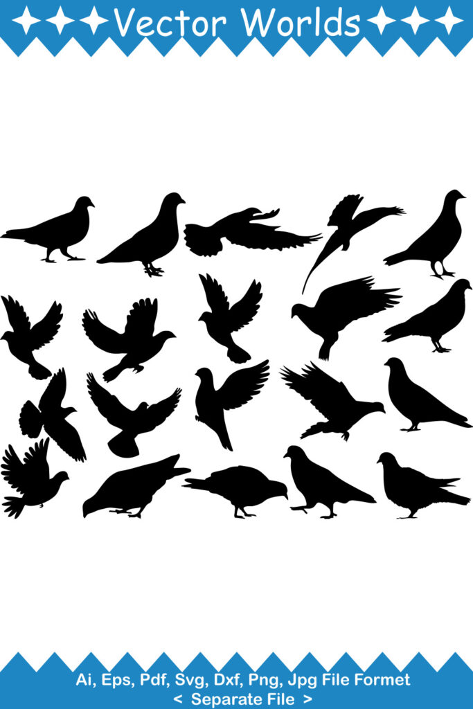 Pigeon SVG Vector Design - MasterBundles