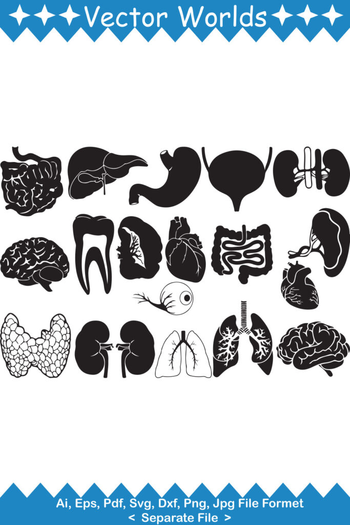 Human Organs SVG Vector Design - MasterBundles