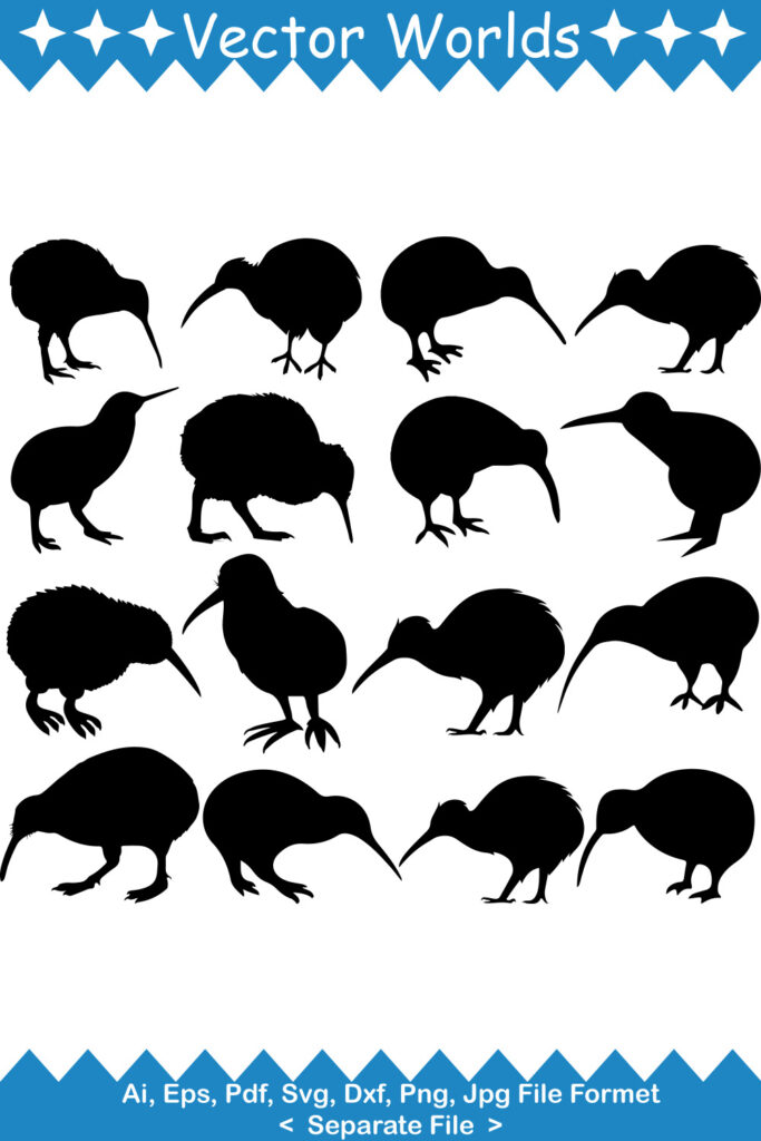 Kiwi SVG Vector Design - MasterBundles
