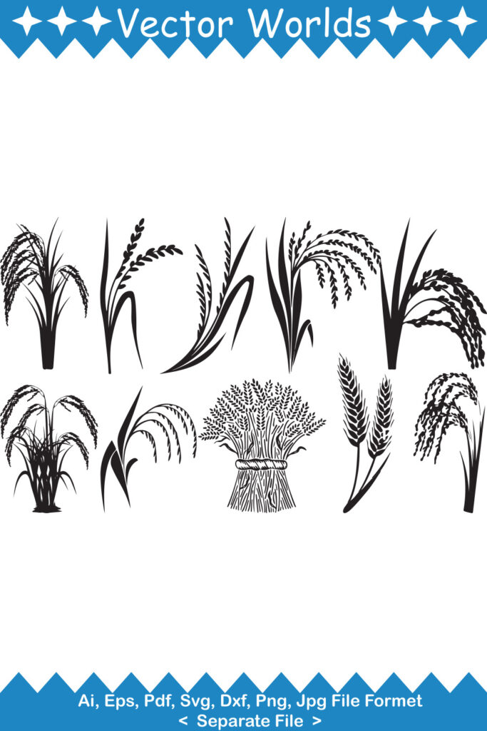 Paddy SVG Vector Design - MasterBundles