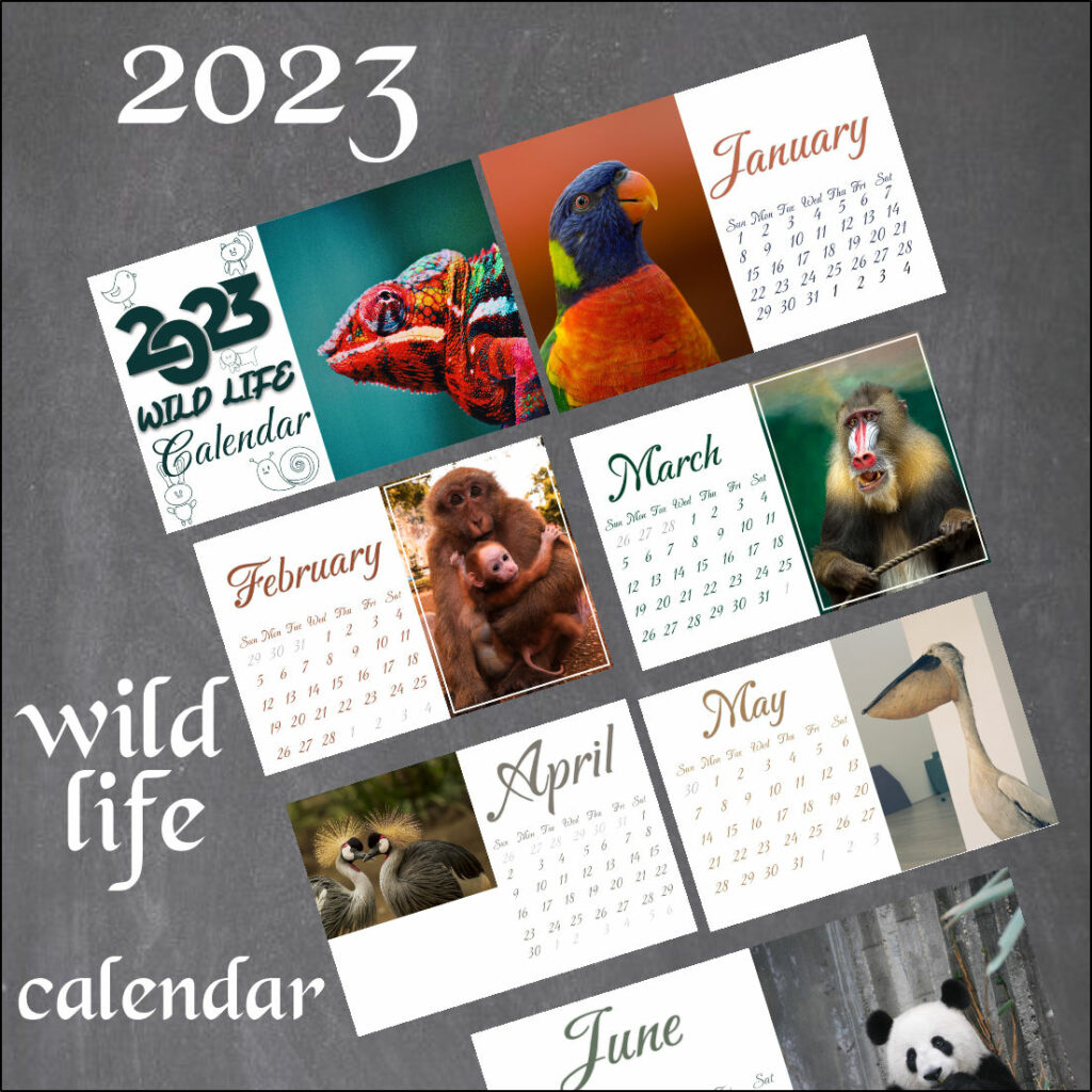2023 Wild Life Calendar - MasterBundles