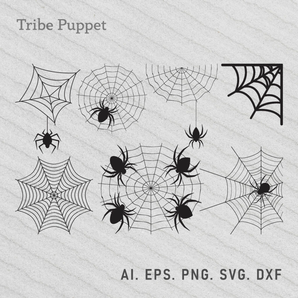 Spider Net SVG - MasterBundles