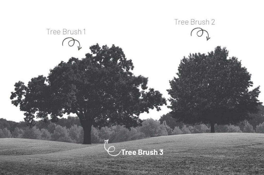 30 Tree Photoshop Brushes – MasterBundles