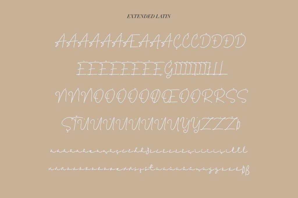 Mirabille Swash Script – MasterBundles