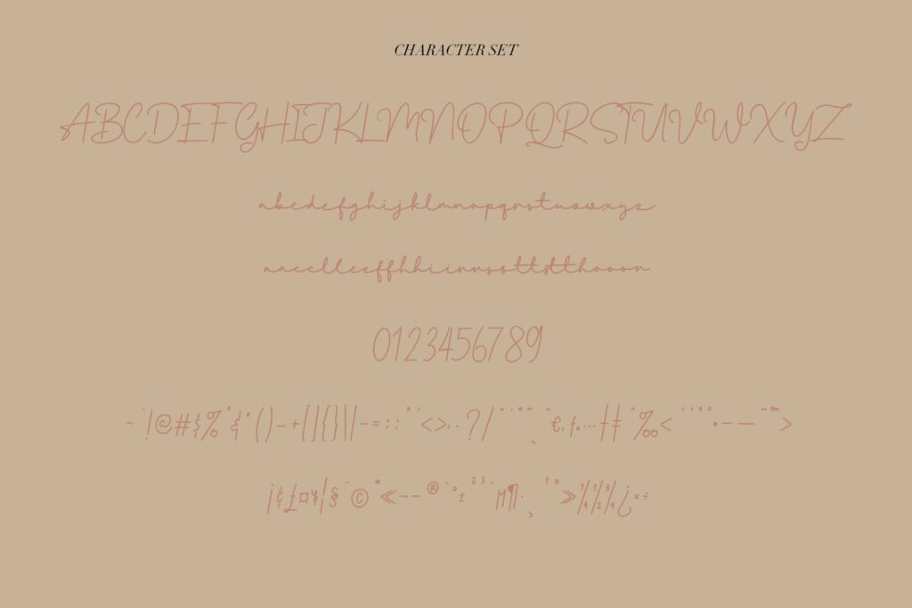 Mirabille Swash Script – MasterBundles