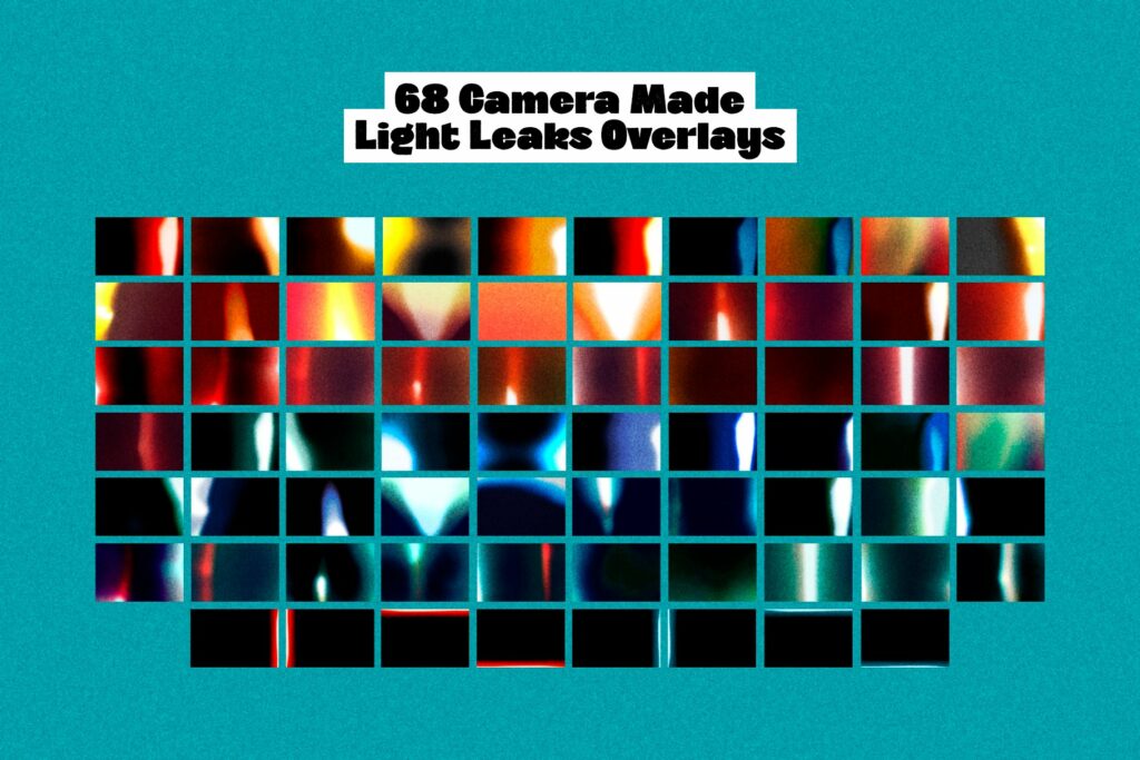 Master of Lomography • Creator – MasterBundles