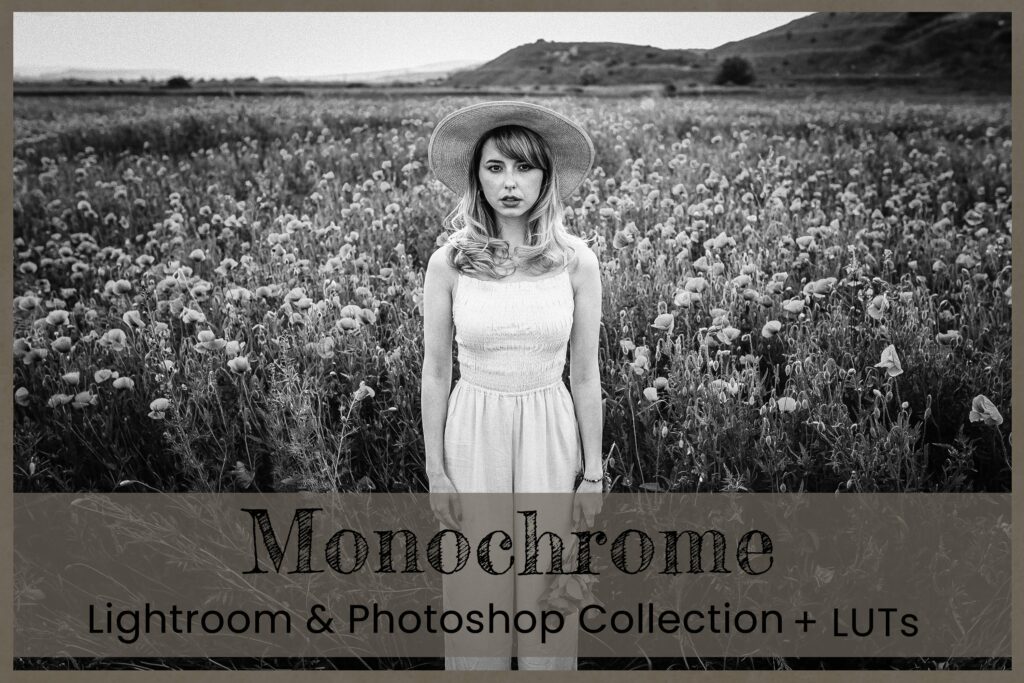 Monochrome Lightroom Photoshop LUT – MasterBundles