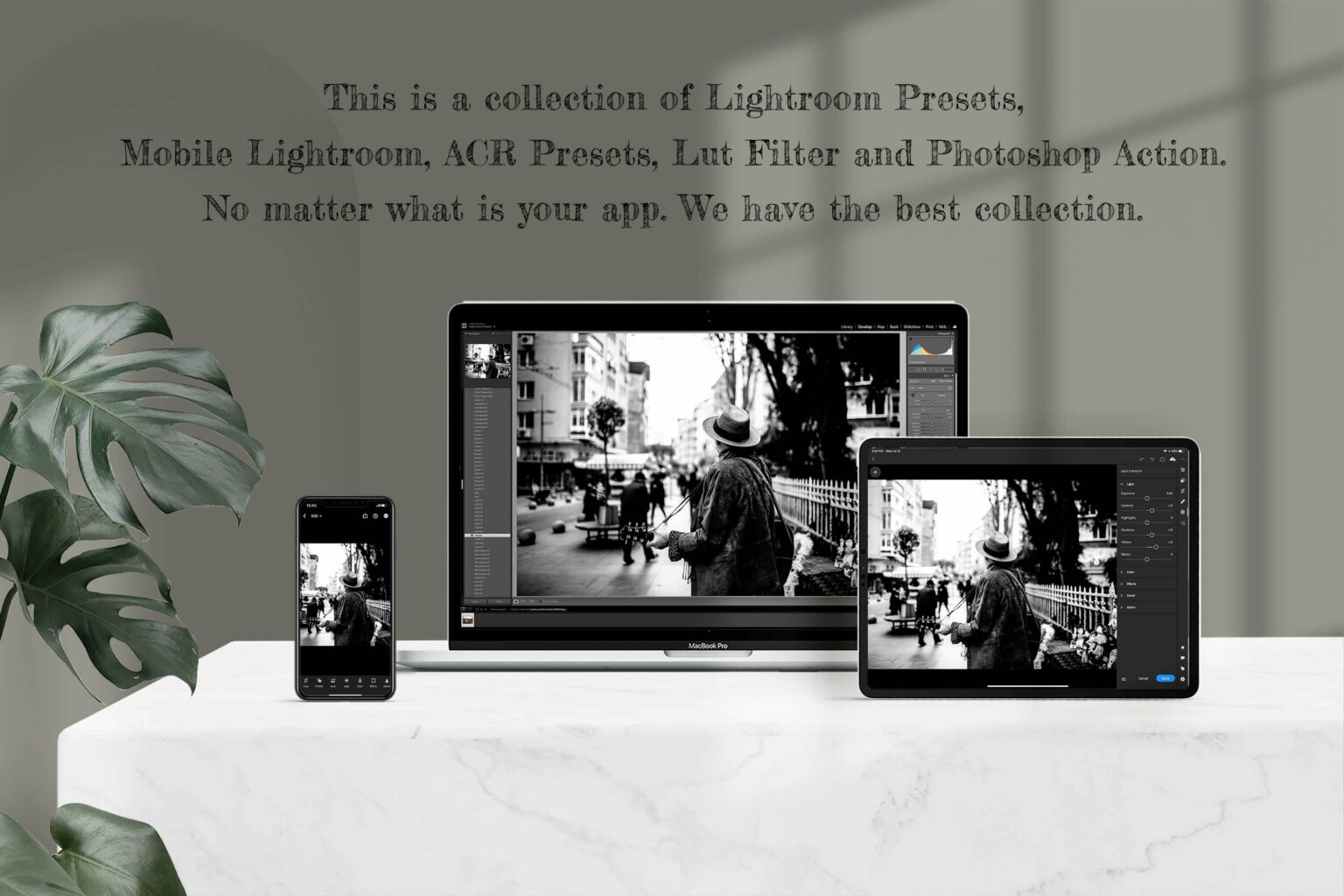Monochrome Lightroom Photoshop LUT – MasterBundles
