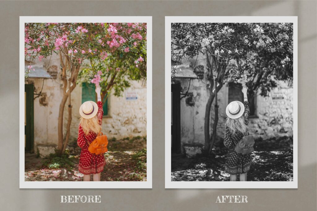 Monochrome Lightroom Photoshop LUT – MasterBundles