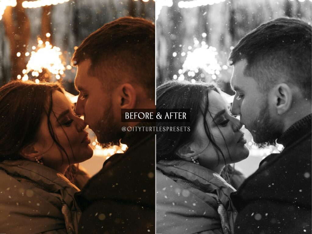 Moody Black & White LR Presets – MasterBundles