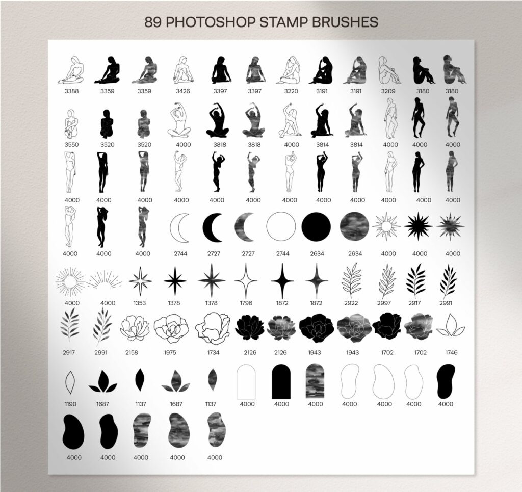 Moon & Woman. Procreate & Ps Brushes – MasterBundles