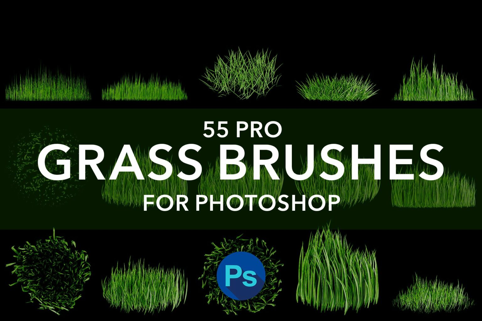 MS Grass Brushes – MasterBundles