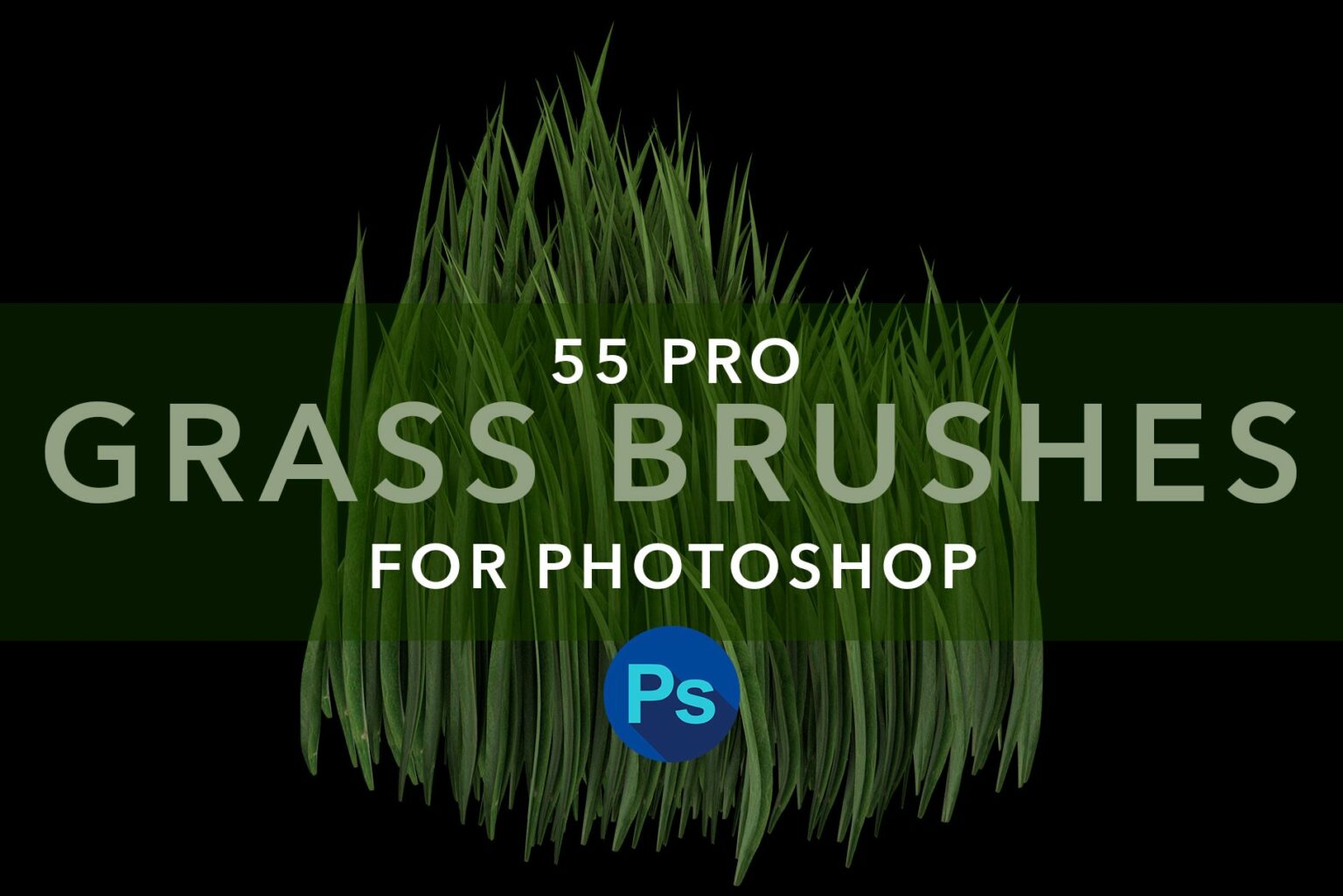 MS Grass Brushes – MasterBundles