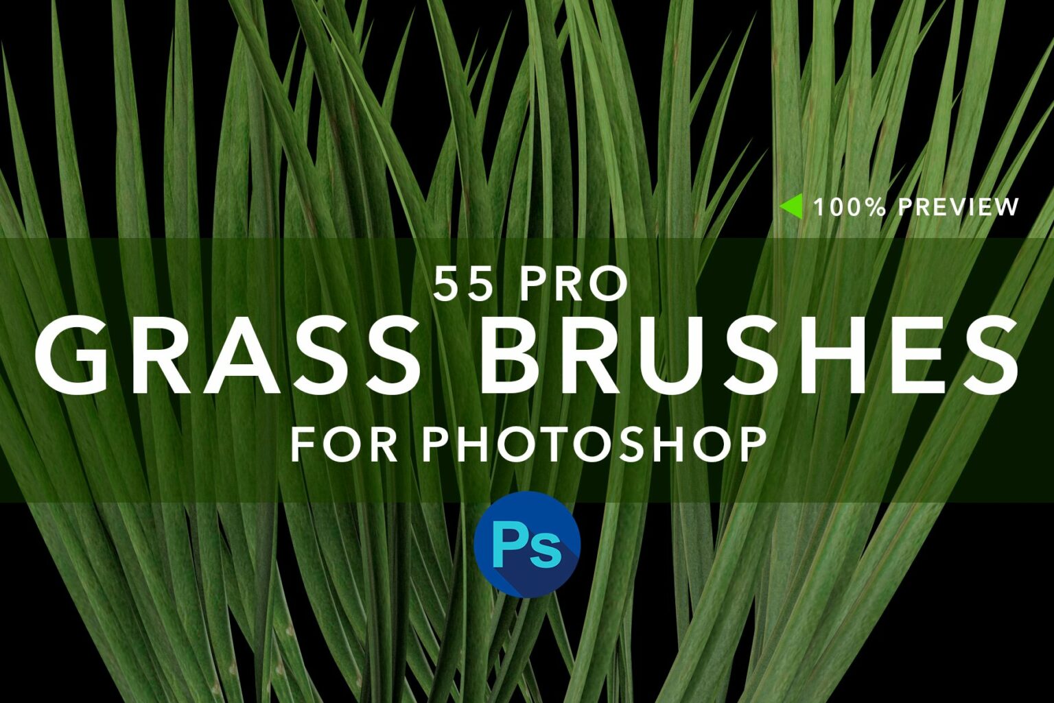 MS Grass Brushes – MasterBundles