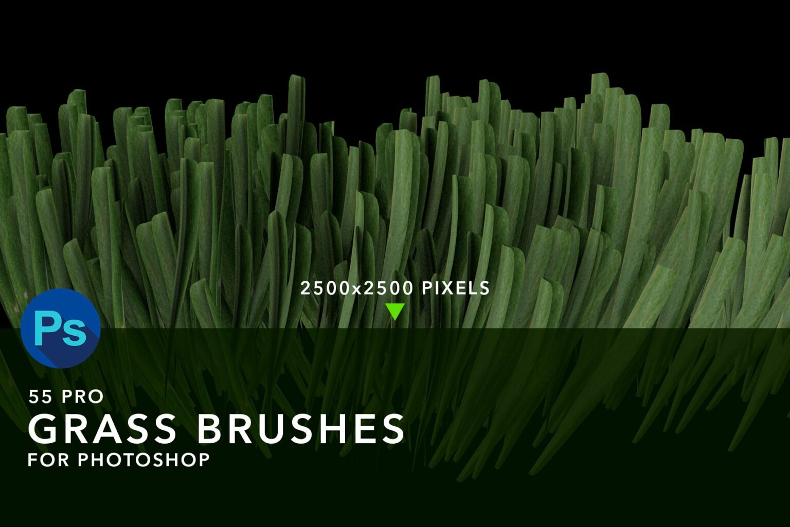 MS Grass Brushes – MasterBundles