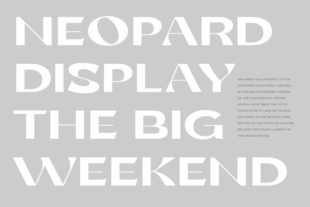 Nancy Walner Modern Sans – MasterBundles