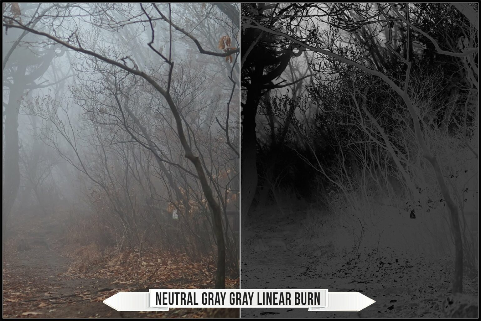 Gray Partial Blend Effects – MasterBundles