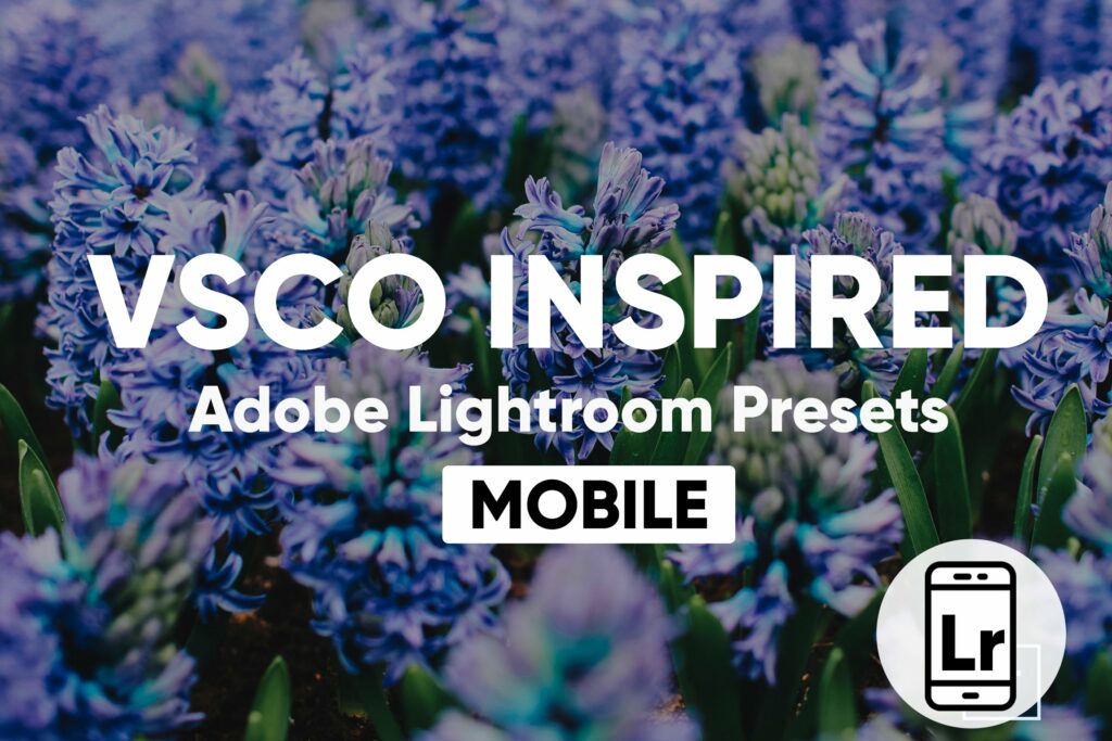 Lightroom CC Mobile VSCO Presets – MasterBundles
