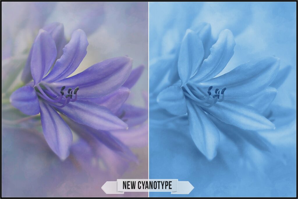 Authentic Cyanotype LUTs – MasterBundles