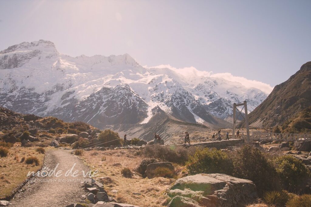 Night Color Grading - LR presets – MasterBundles