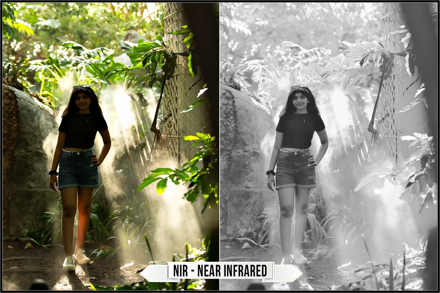 Infrared Monochrome Master Profiles – MasterBundles