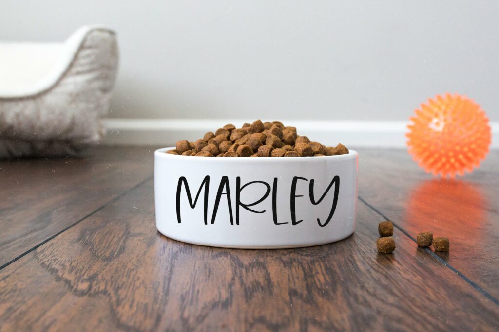 Adorable | Quirky Handwritten Font – MasterBundles