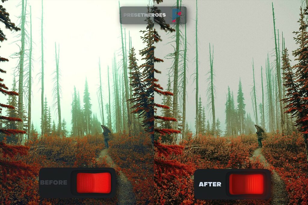 Nomad Lightroom Preset v2 – MasterBundles