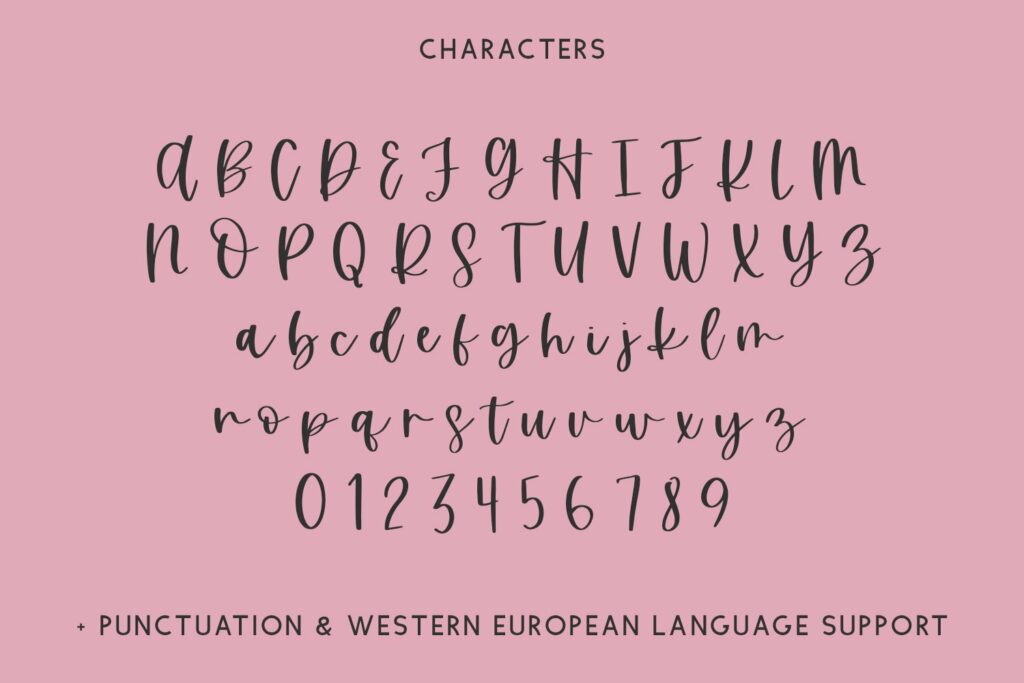 Nonchalant Script Font – MasterBundles