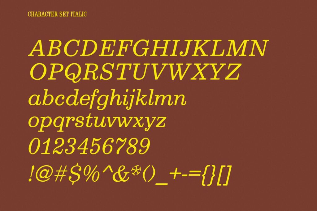 Nuflek Display Serif Font – MasterBundles