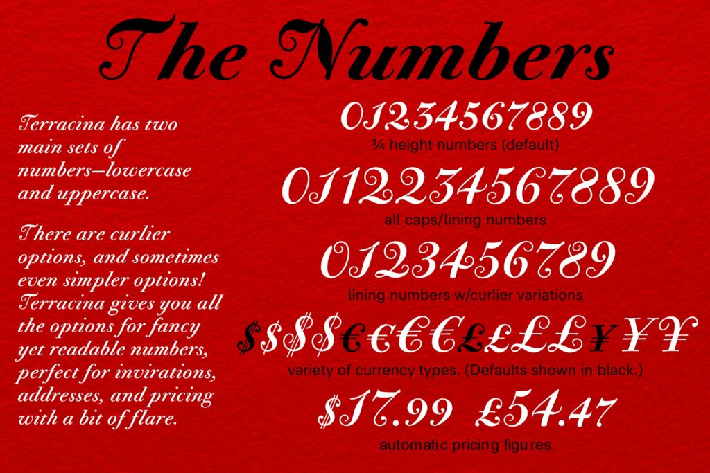 Bodoni Terracina Full Family 6 Fonts – MasterBundles