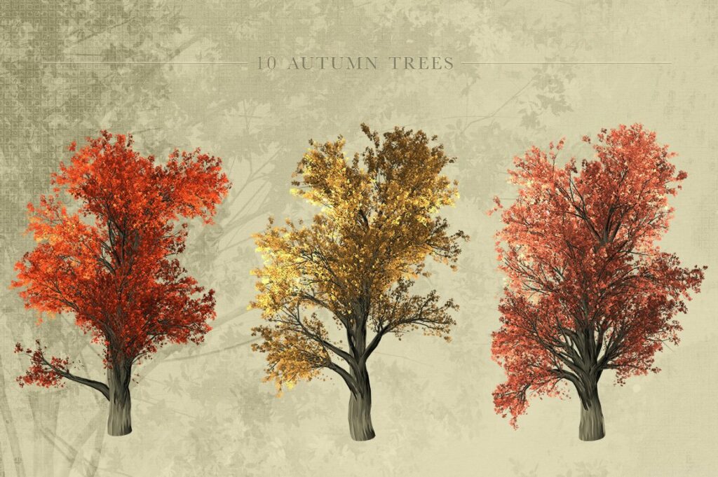 Zelkova Serrata Trees – MasterBundles