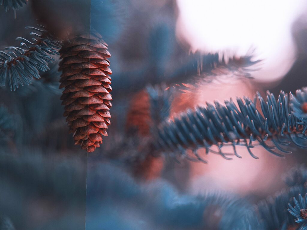 Hard Tones Photoshop Actions – MasterBundles