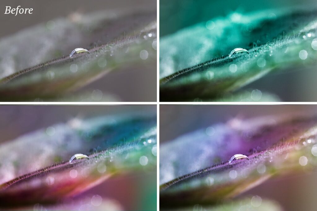 50 Color Lr Presets – MasterBundles