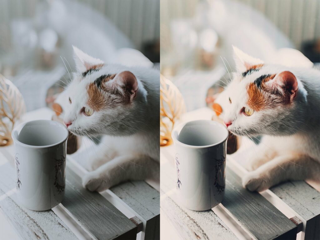 Hard Tones Photoshop Actions – MasterBundles