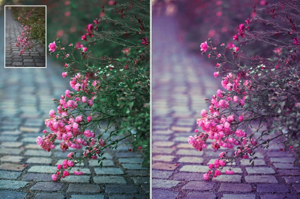 Nature Photoshop Actions – MasterBundles