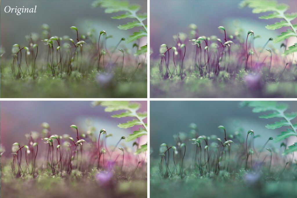 Nature Photoshop Actions – MasterBundles