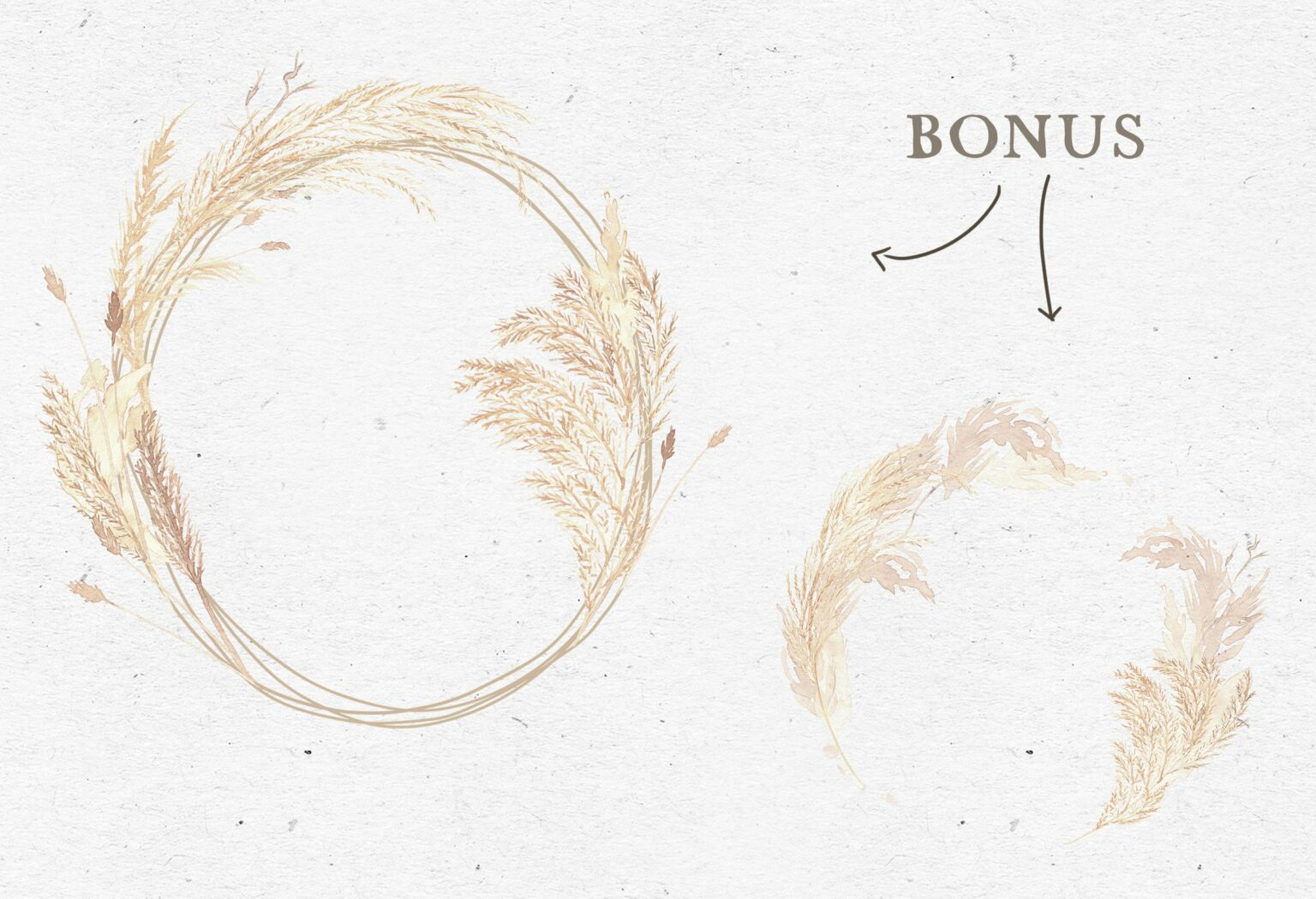 Watercolor Pampas Grass Png Vector Masterbundles