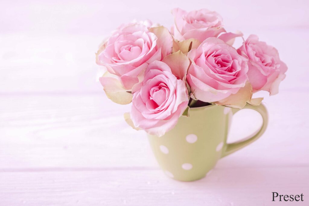 50 Pastel Presets for Lightroom – MasterBundles