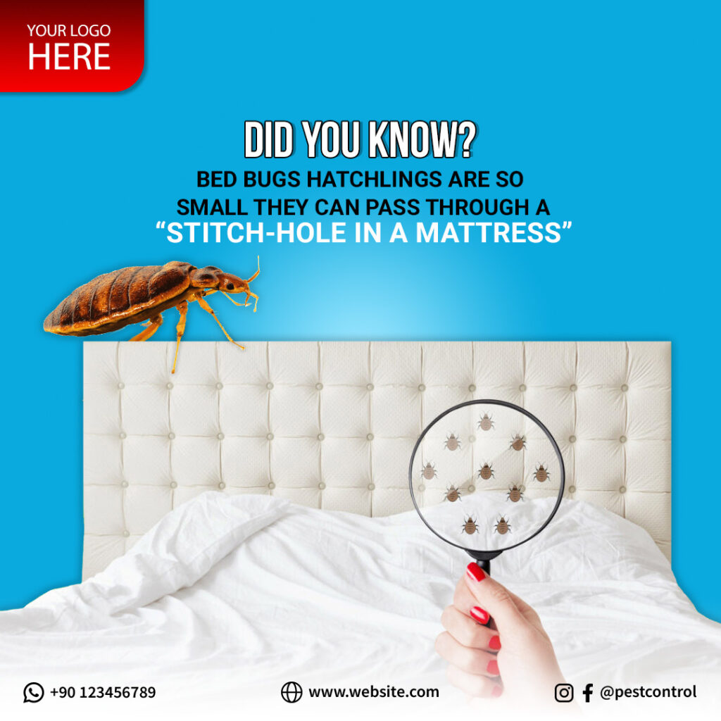 12 Clean, Minimal style Social Media Pest Control Banner Posts Bundle ...