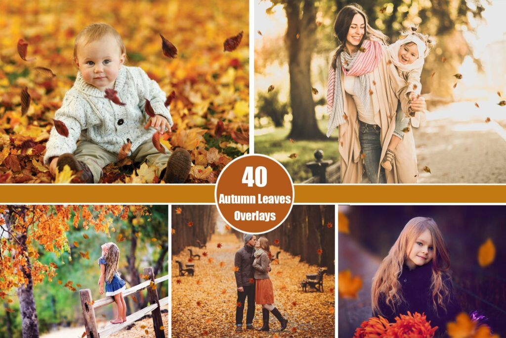 40 Autumn Leaves Overlays – MasterBundles