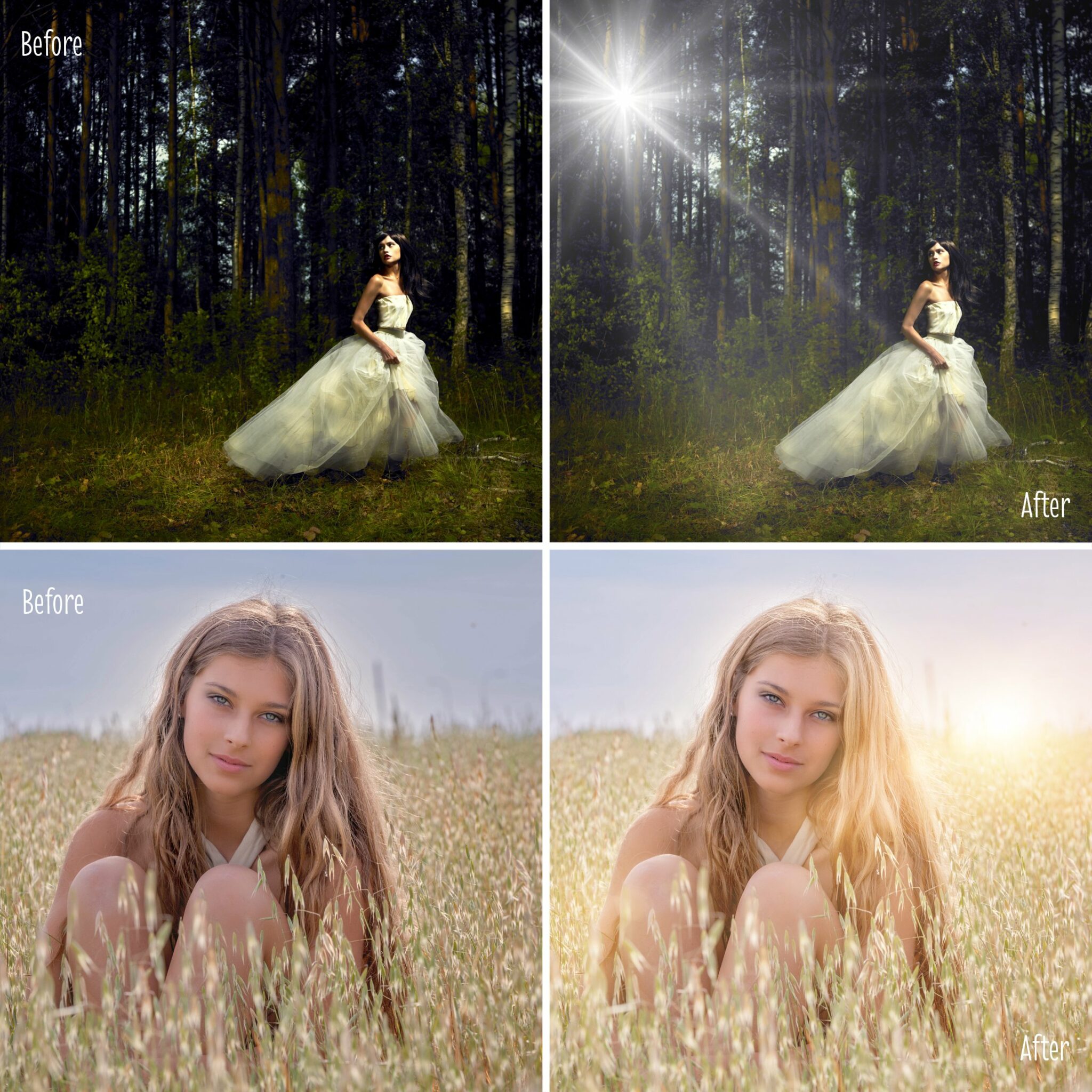 50 Natural Sunlight Photo Overlays – MasterBundles