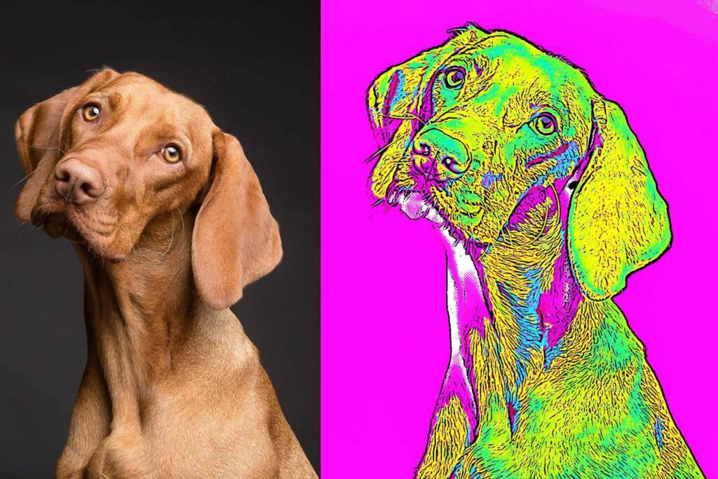 Picture to Cartoon Plugin – MasterBundles