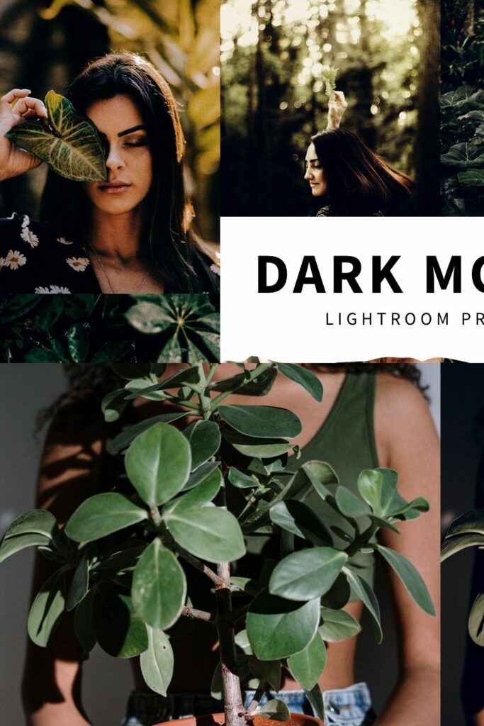 10 Dark Moody Lightroom Presets – MasterBundles