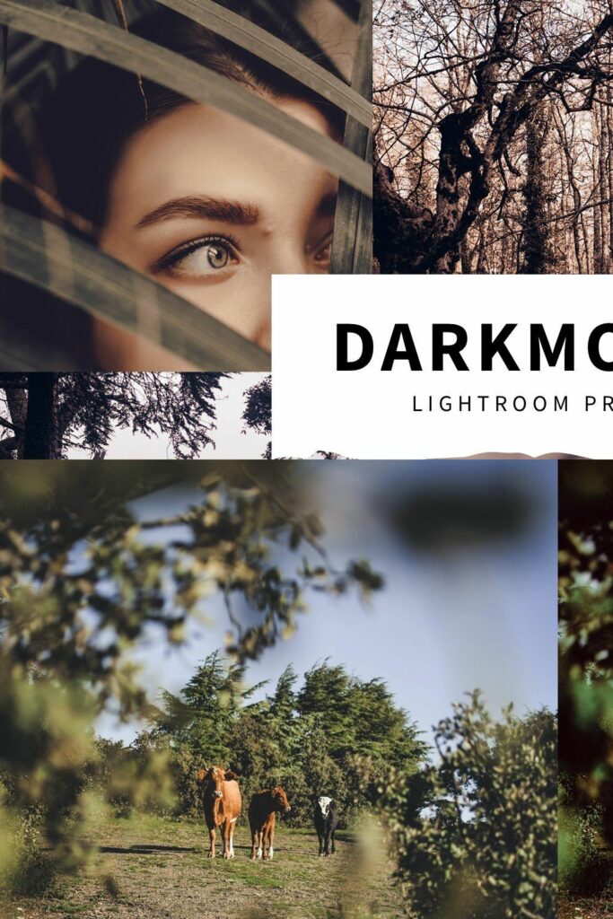 10 Dark Moody Lightroom Presets – MasterBundles