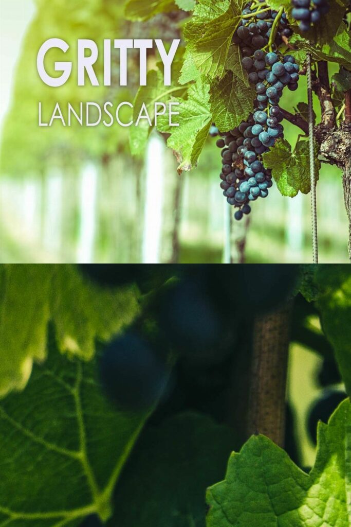 11 Gritty Landscape Presets – MasterBundles